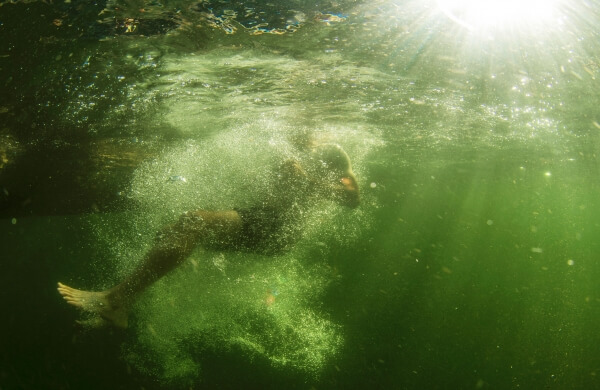 Eau Naturel: Why You Should Consider A Natural Swimming Pool