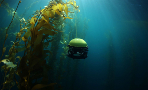 8 Cool Snorkelling Gadgets For Your Beach Break