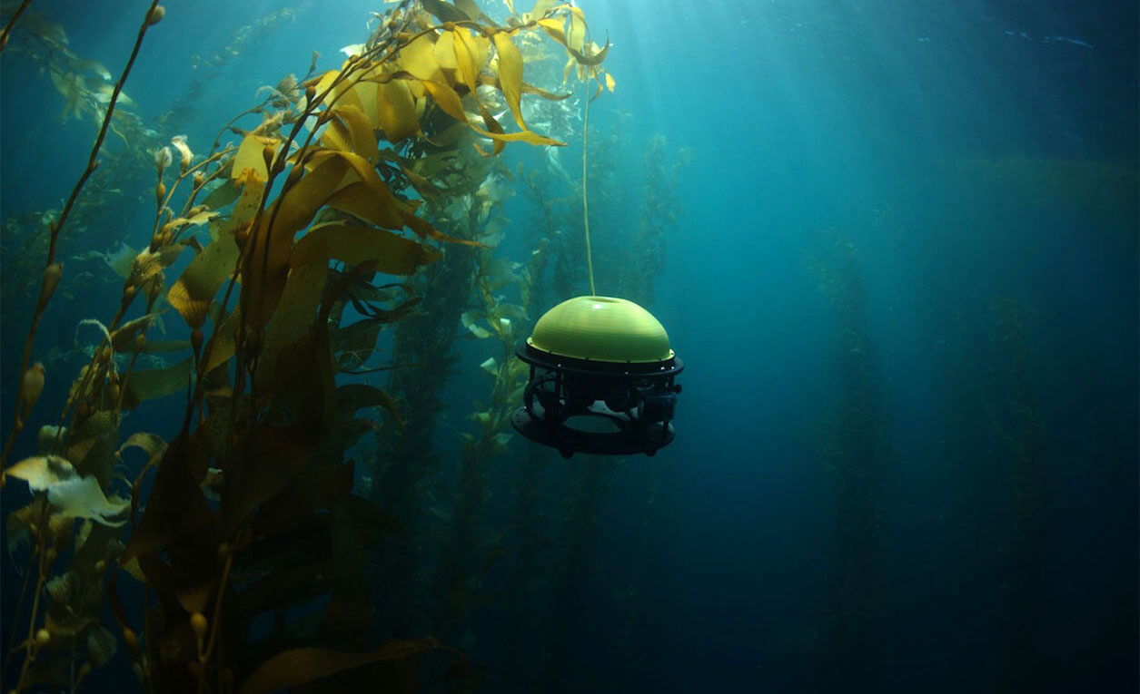 8 Cool Snorkelling Gadgets For Your Beach Break