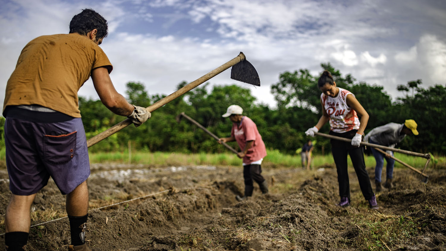 Back To The Soil: The Return To Regenerative Farming